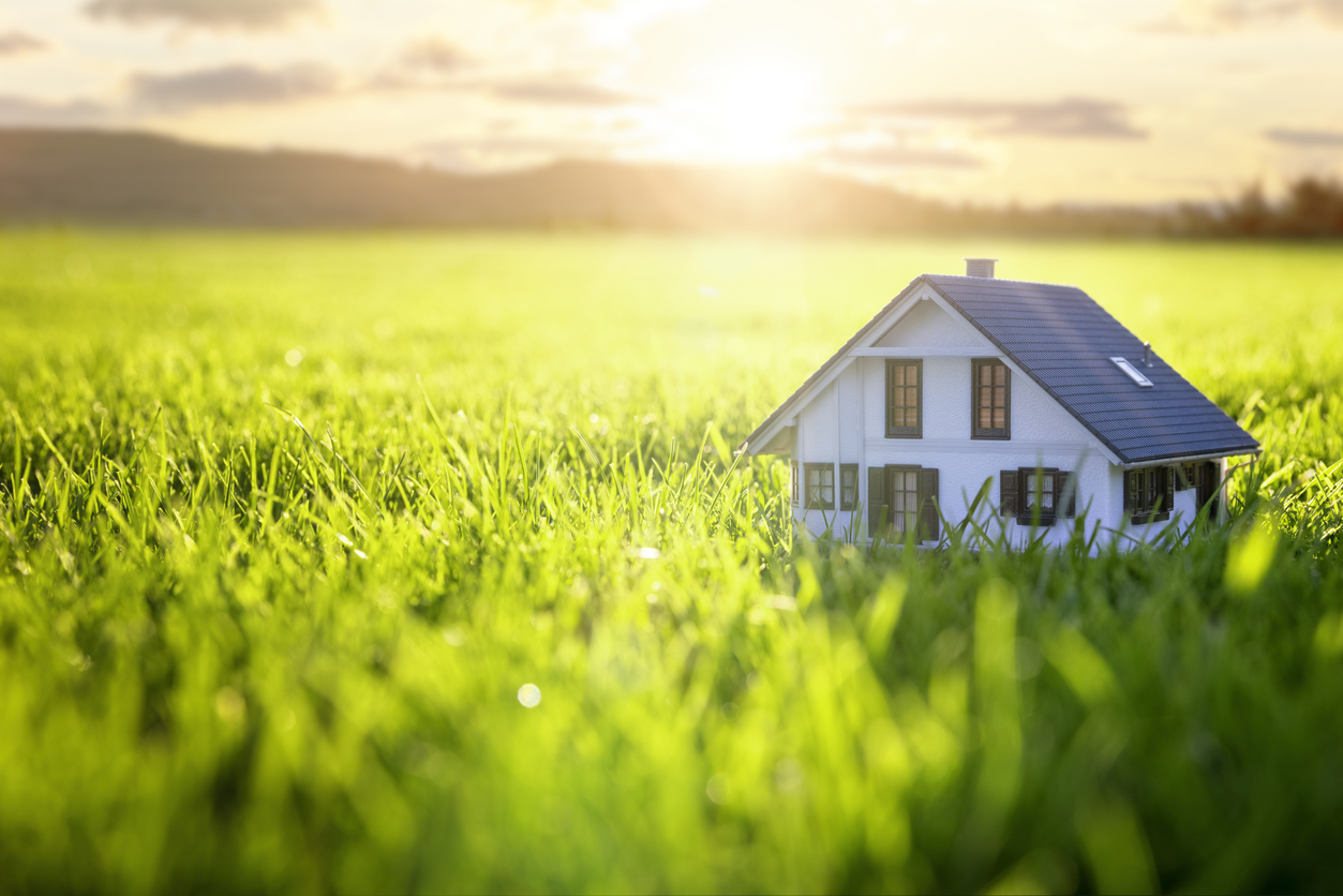 The Basics of Buying Land: What You Need to Know - Properly